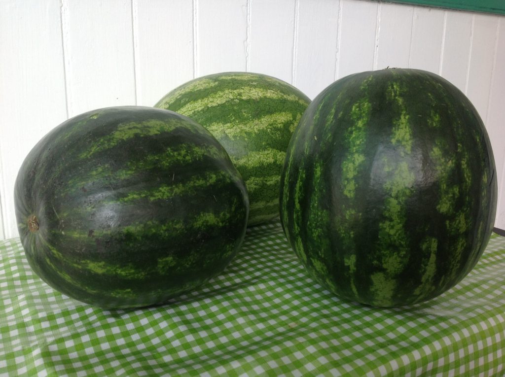 Wonderful Watermelon – Mairlyn Smith